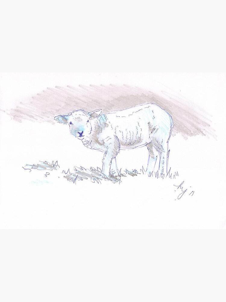 "Pencil Drawing of a Cute Lamb" Art Print for Sale by MikeJory | Redbubble