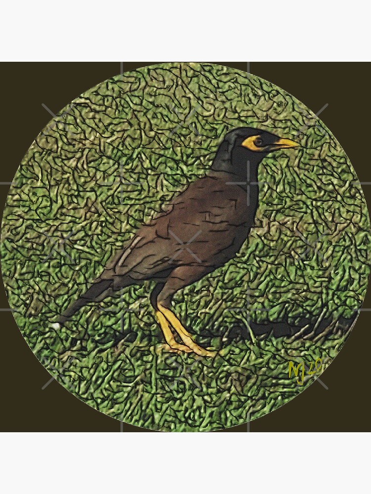 "Myna Bird on Grass, photo art " Photographic Print by NadJac | Redbubble