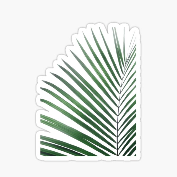 "Leafy Palm" Sticker by lrovina | Redbubble