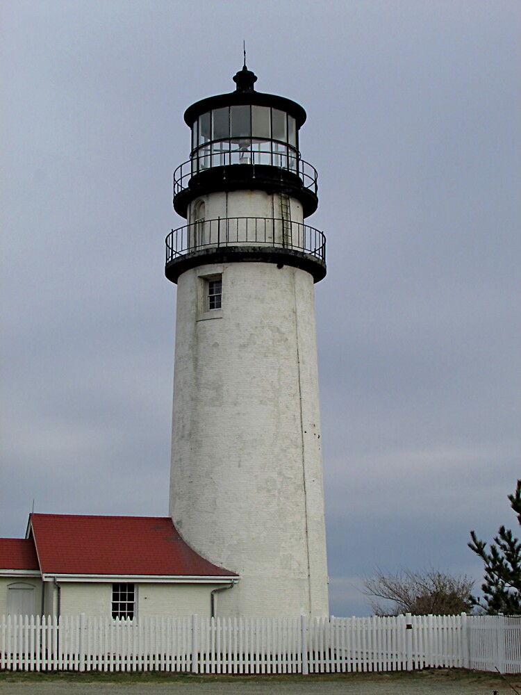 "Cape Cod Light" Sticker for Sale by backyardwonders | Redbubble