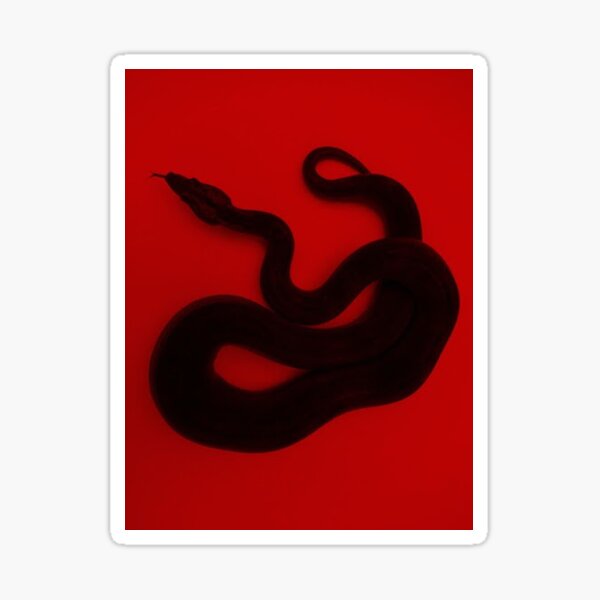 "black snake " Sticker for Sale by mitchsdesignn | Redbubble