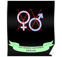 Gender Equality: Posters | Redbubble