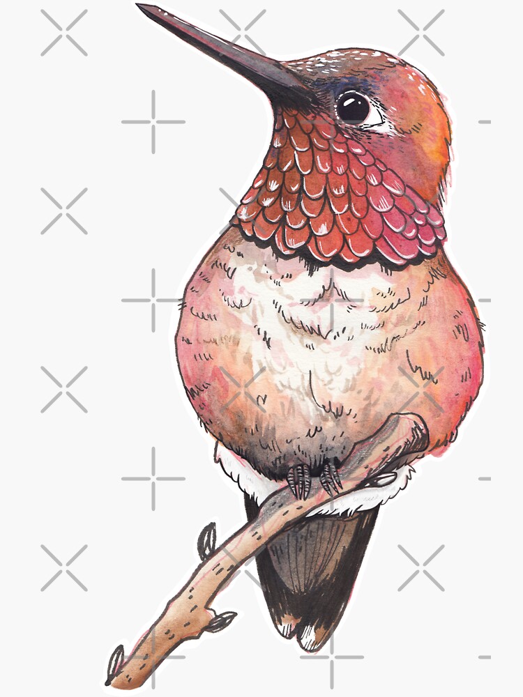"Cute Bee Hummingbird " Sticker for Sale by RachelNutkins | Redbubble