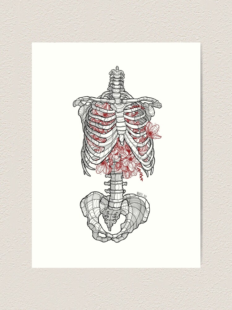 "Beautiful Innards" Art Print for Sale by NouvelleRita | Redbubble