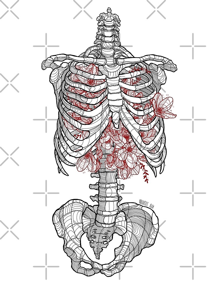 "Beautiful Innards" Art Print for Sale by NouvelleRita | Redbubble