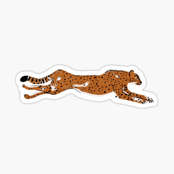 Cheetah Skin Stickers | Redbubble