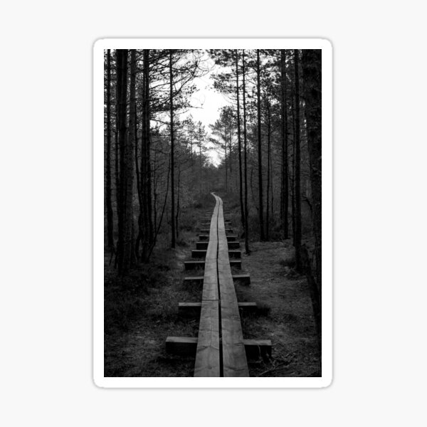 "Catwalk" Sticker by Daffn | Redbubble