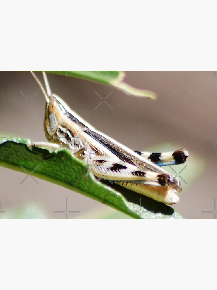 "YYxx" Poster by loiteke | Redbubble