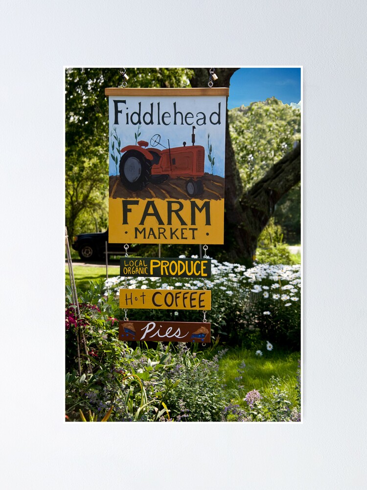 "Fiddlehead Farm Market" Poster by pdecocco | Redbubble