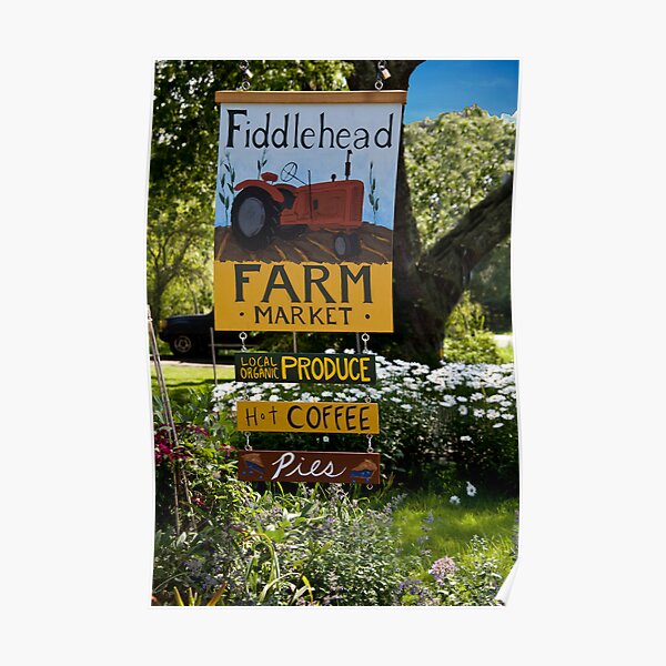 "Fiddlehead Farm Market" Poster by pdecocco | Redbubble