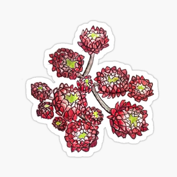 "Red Jewel" Sticker by Natattitude | Redbubble