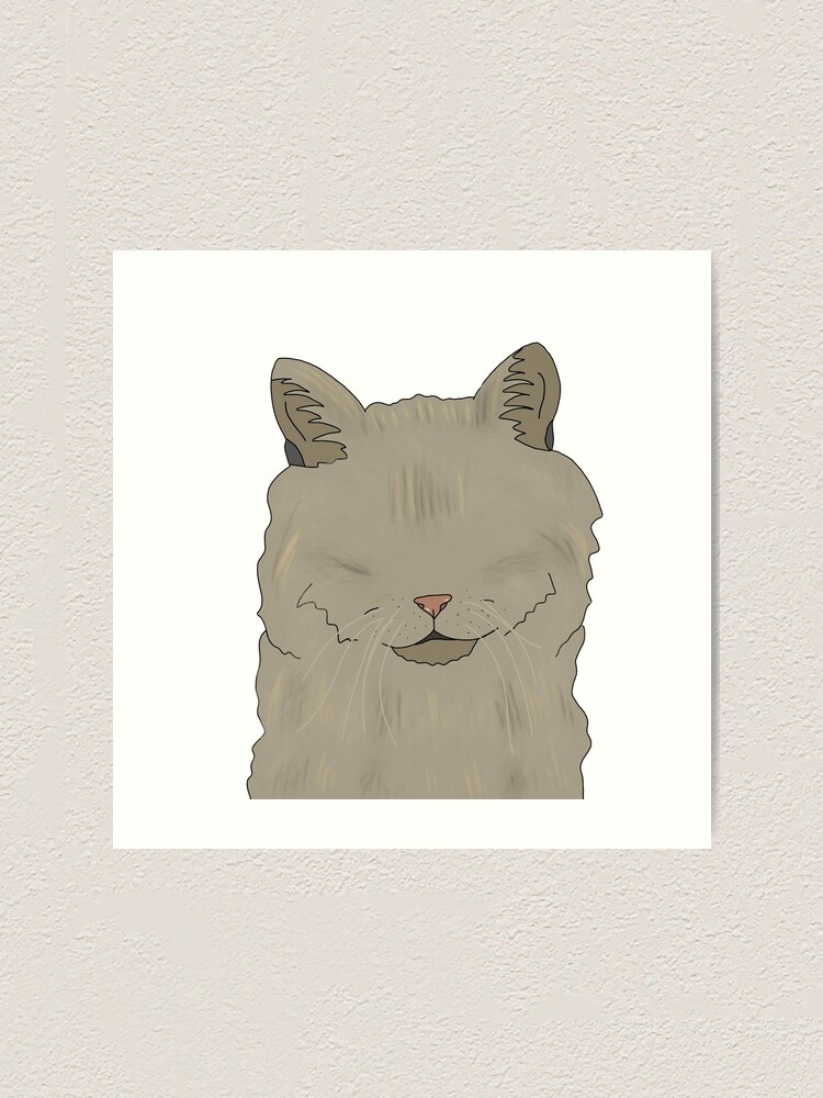 "Long Haired Tabby Cat Drawing Outline" Art Print by staridust | Redbubble