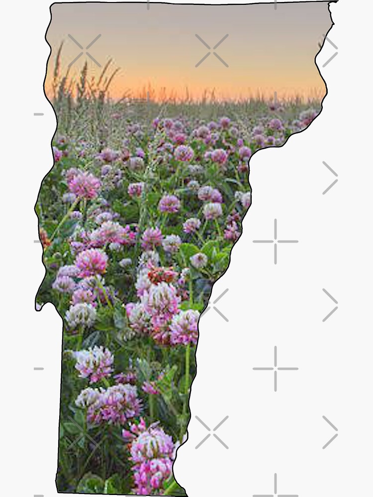 "vermont red clover - state flower series" Sticker for Sale by ...