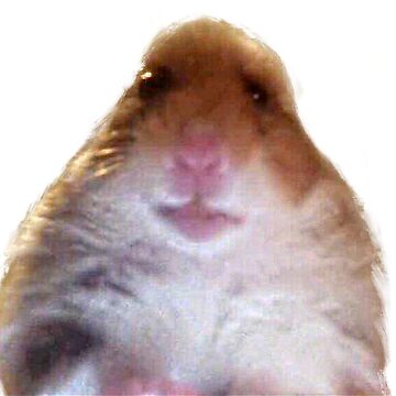 "FaceTime Hamster Meme" Sticker for Sale by MaraHaGa | Redbubble