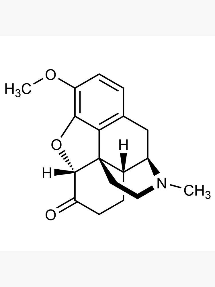"Hydrocodone Structural Formula" Poster for Sale by GillyTheGhillie ...