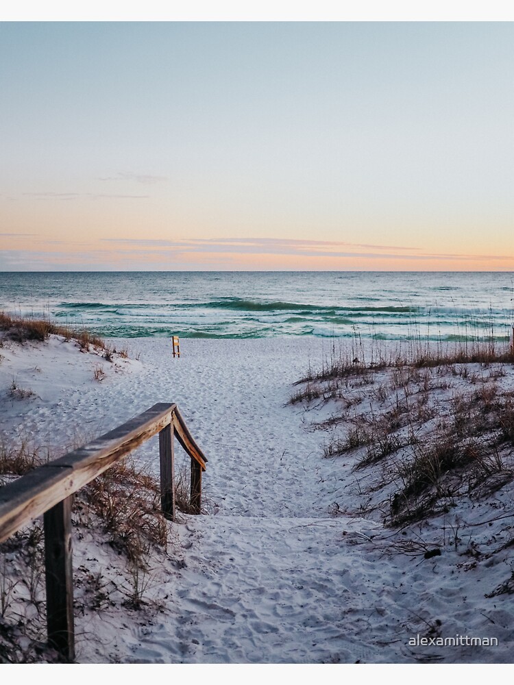 "Pathway to Miramar Beach, Florida" Sticker for Sale by alexamittman ...