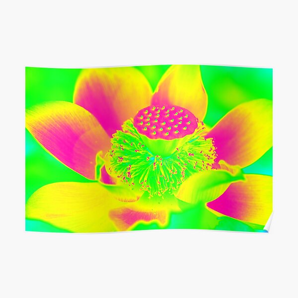 "Thermal Lotus Flower" Poster for Sale by BrodyMaddox | Redbubble