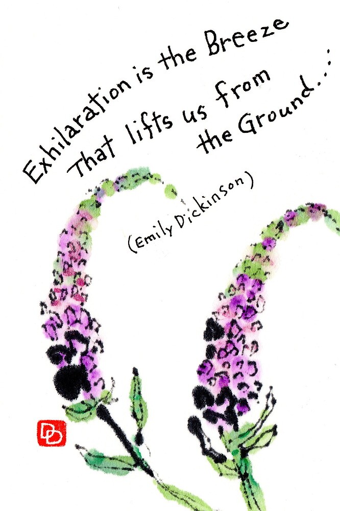 "Exhilaration" by dosankodebbie | Redbubble