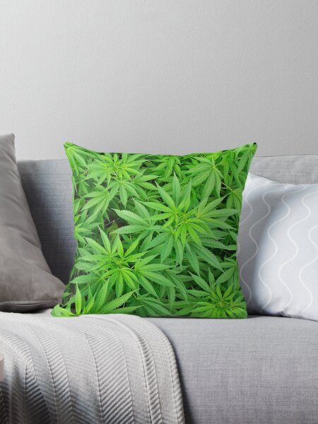 Throw Pillows for Sale | Redbubble