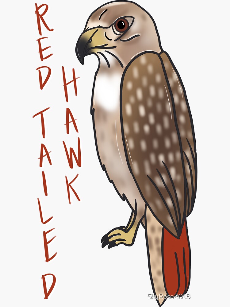 "Red Tailed Hawk Words - Cartoon" Sticker by SkyRose2018 | Redbubble