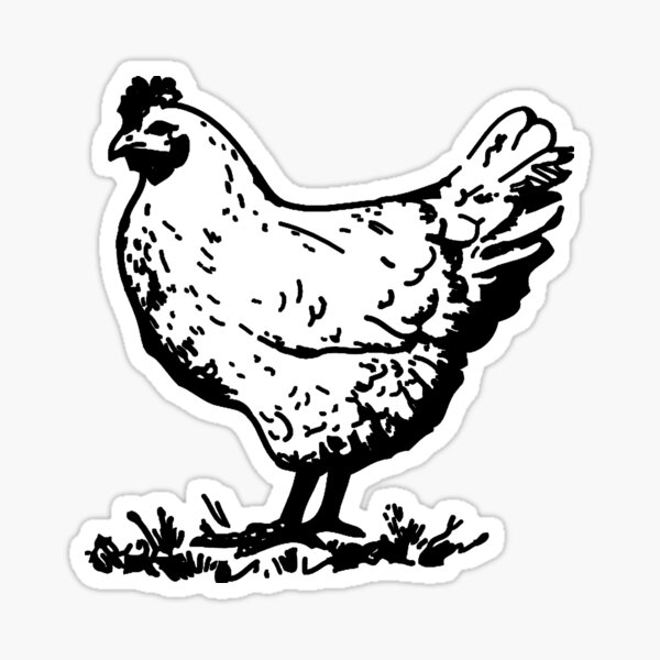 "funny chicken - farm chicken - hen" Sticker for Sale by Waleedw ...