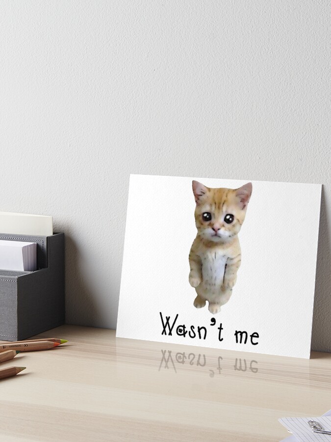 "Copy of Wasn't me 2 - cat meme - Kawaii neko" Art Board Print for Sale ...