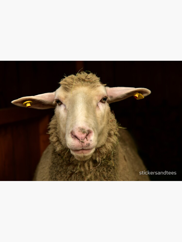 "Funny Sheep Face Mask" Sticker for Sale by stickersandtees | Redbubble