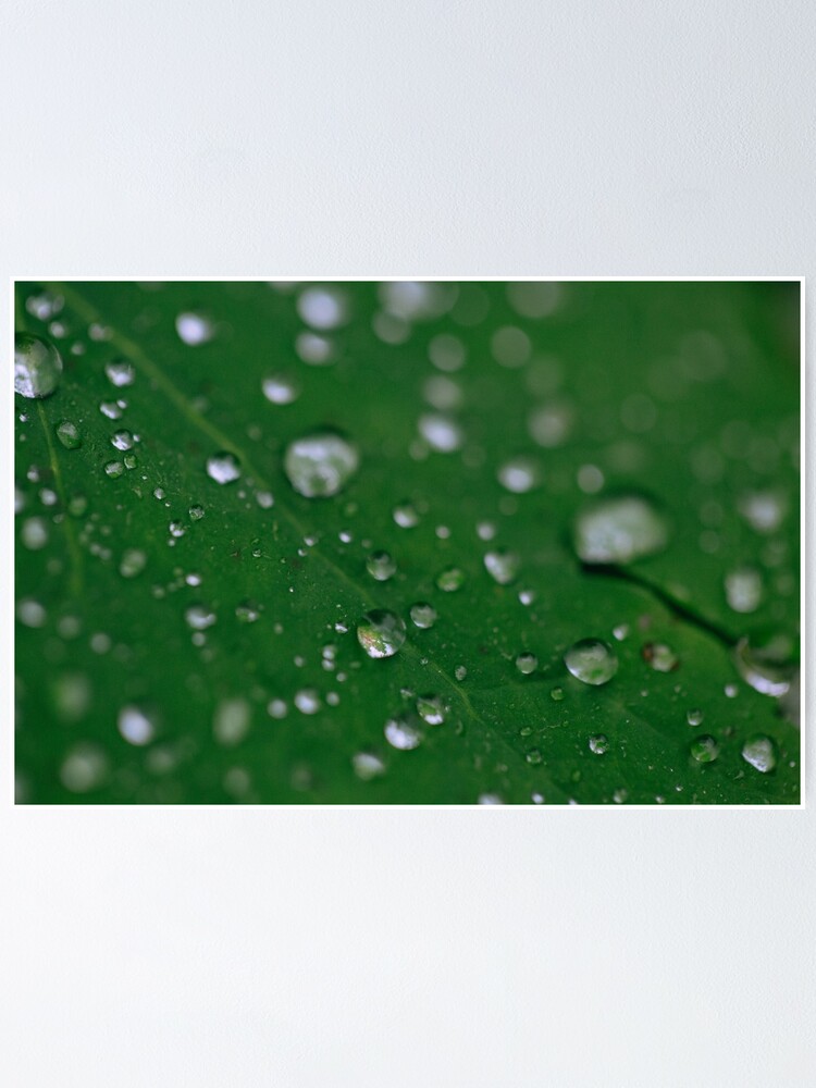 "drop" Poster by nikiti4 | Redbubble