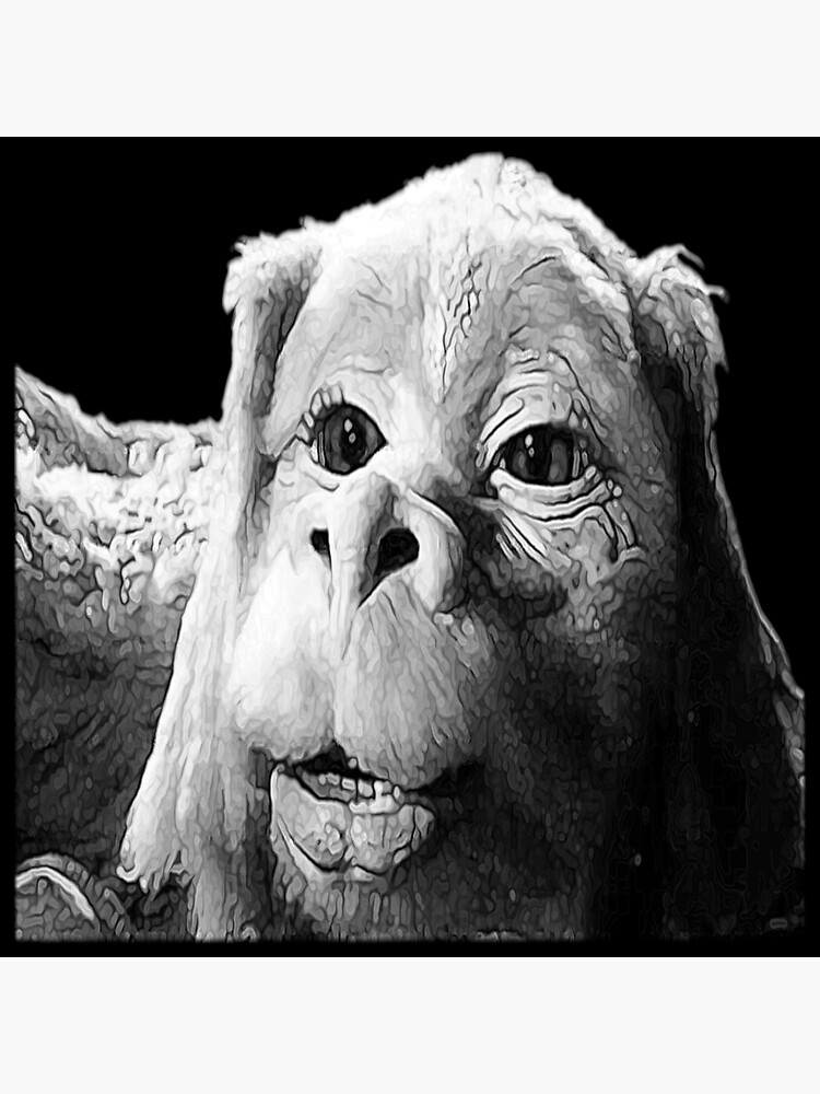 "Falkor The Luck Dragon From The Neverending Story Design" Sticker for ...