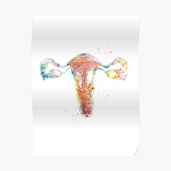 Reproductice System Stained Glass Human Anatomy Art Obgyn Roe V Wade