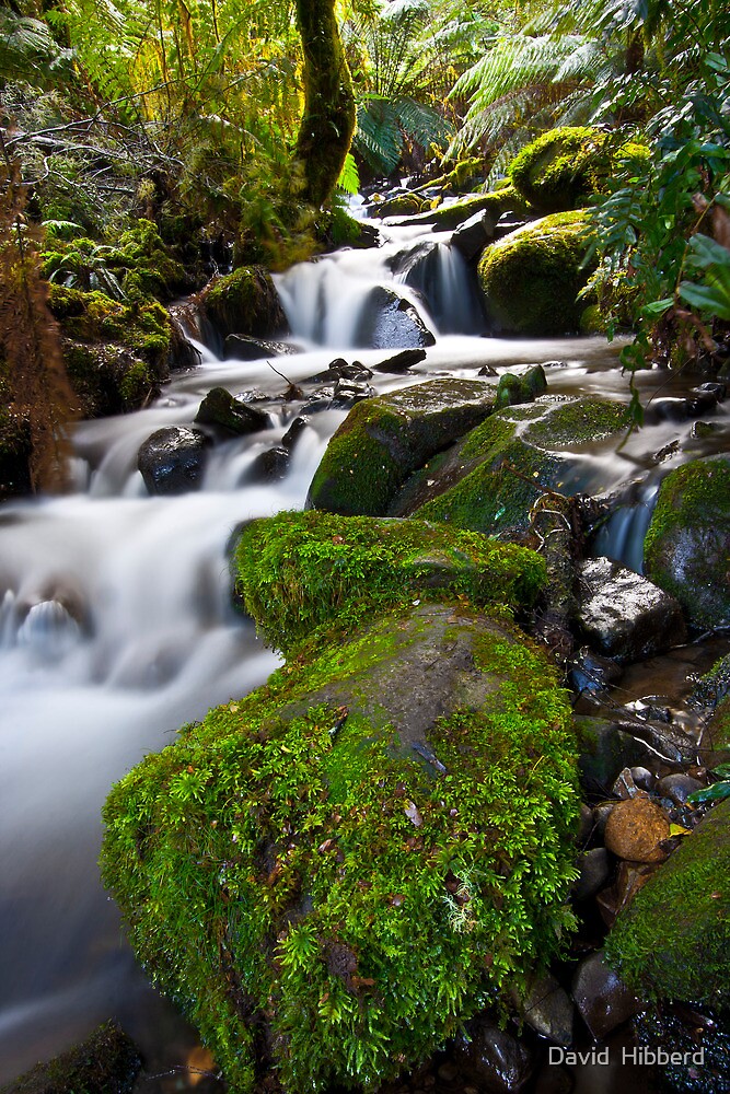 "Untitled" by David Hibberd | Redbubble