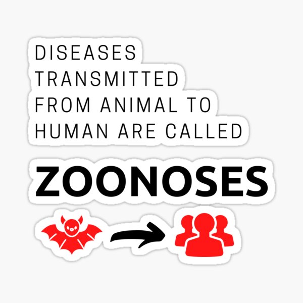 "Disease zoonoses animal to human, covid 19, influenza " Sticker for ...