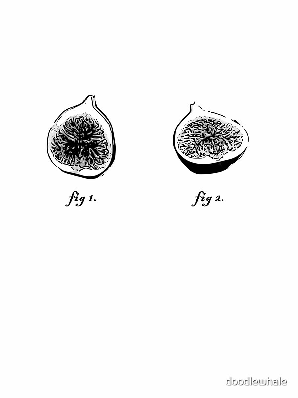 "fig 1. fig 2." by doodlewhale | Redbubble