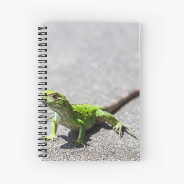 Riu Gifts & Merchandise for Sale | Redbubble