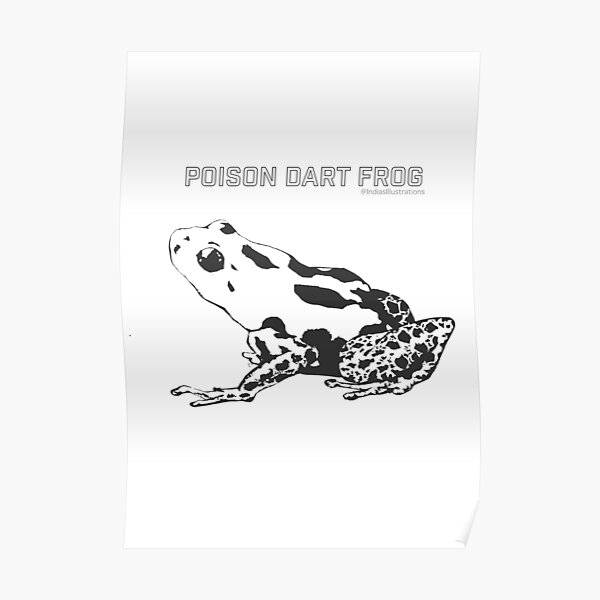 "Poison Dart Frog" Poster by ind-illustrates | Redbubble