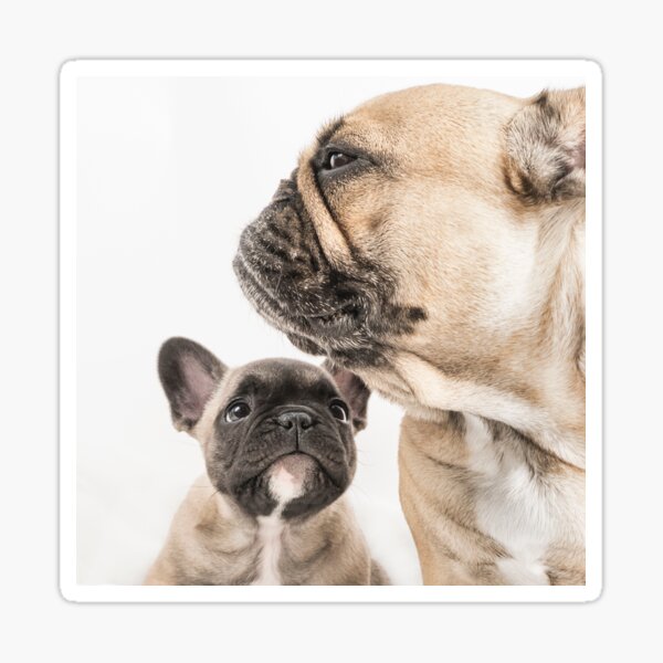 "Role Model" Sticker for Sale by ernest123 | Redbubble