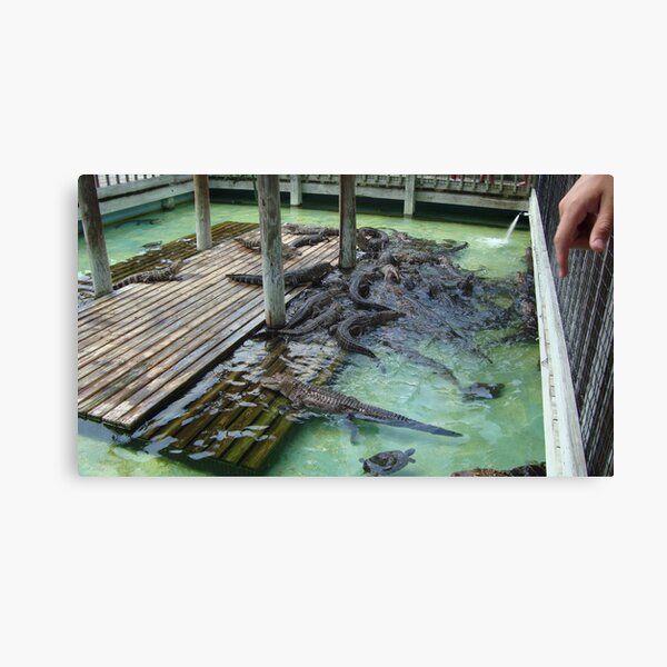 Gatorland Gifts & Merchandise | Redbubble