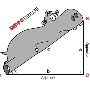 "Hippotenuse" Sticker for Sale by printadorable | Redbubble