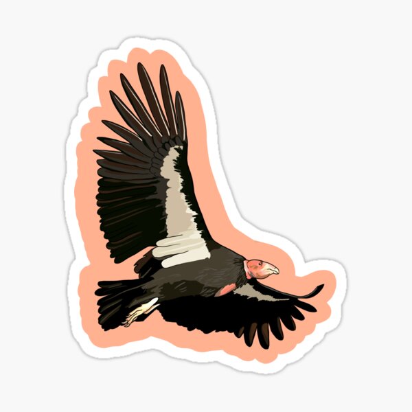 Vulture Stickers | Redbubble