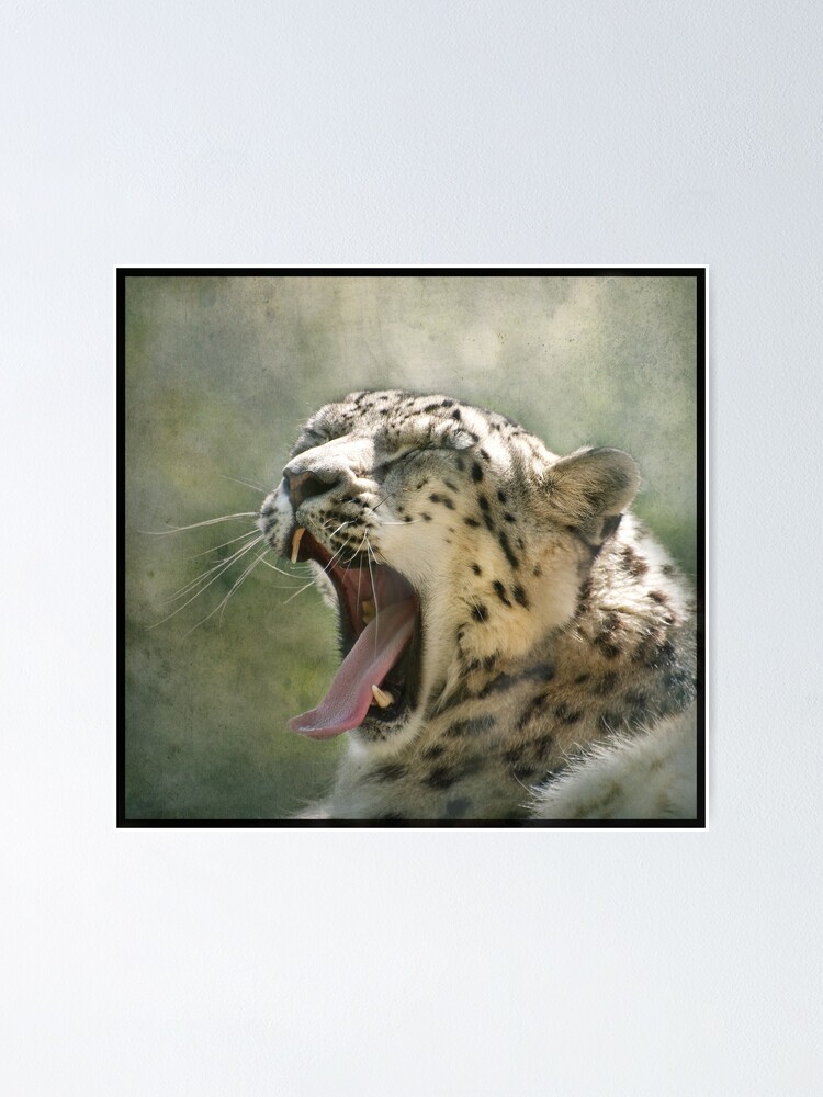 "Yawn...!" Poster for Sale by polly470 | Redbubble
