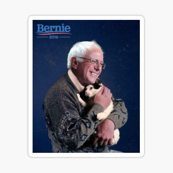 "Bernie aesthetic" Sticker for Sale by elinguinness | Redbubble