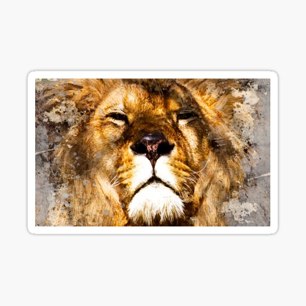 "Lion Face Maks" Sticker by michisway | Redbubble