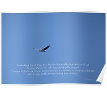 "Romans 8:28,29" by Donna Keevers Driver | Redbubble