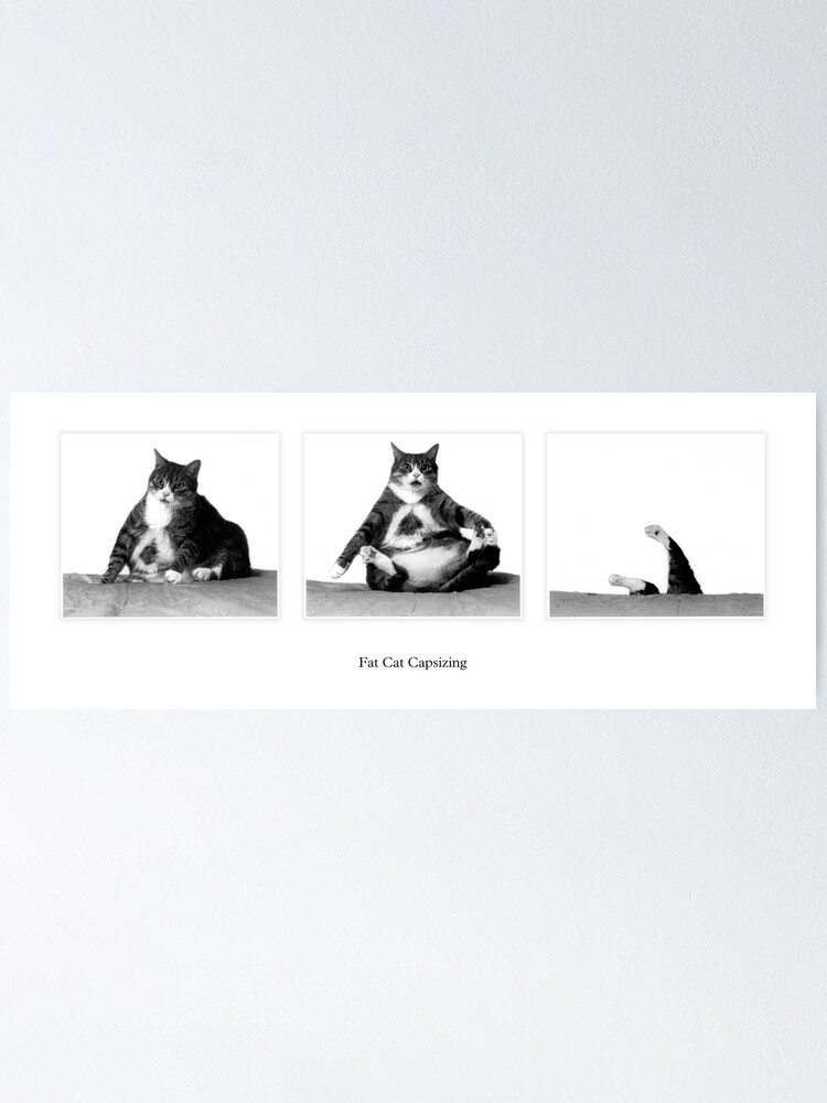 "FCC" Poster for Sale by jmirvish | Redbubble