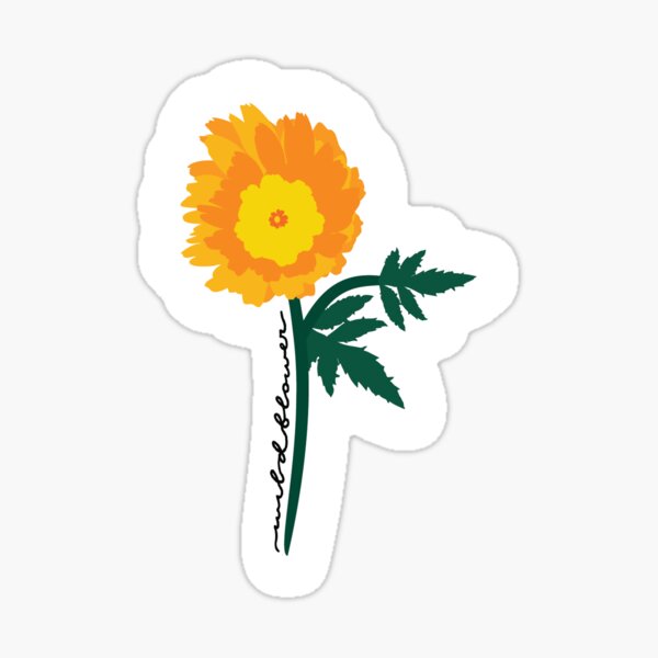 "5SOS Wildflower Script" Sticker for Sale by spunkylaurenn | Redbubble