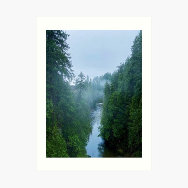 "Capilano Suspension Bridge" Art Print by minalpatel511 | Redbubble