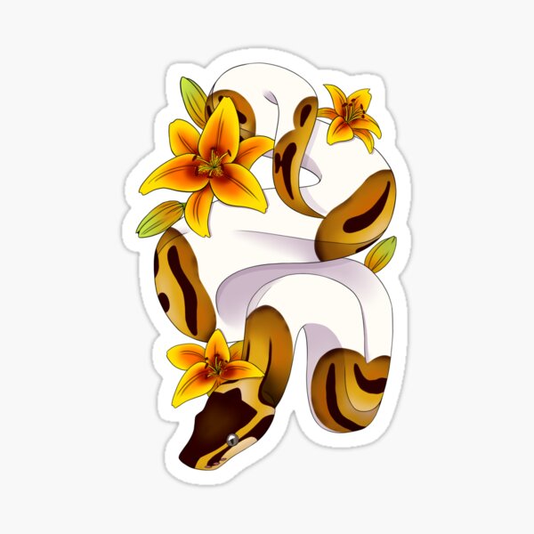 Annadrujok Shop | Redbubble