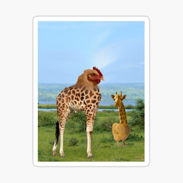 "Giraffe Chicken Hybrid" Sticker by whatthe-heck | Redbubble