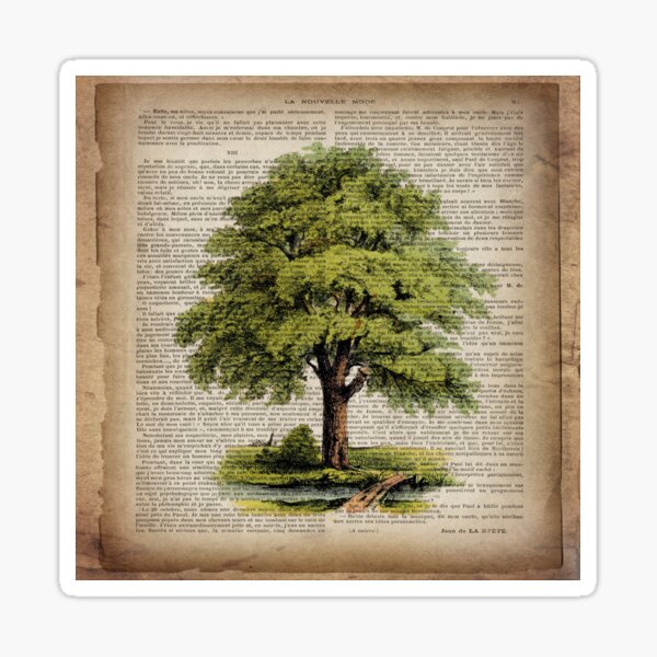 "hippie hipster fashion botanical art vintage oak tree" Sticker for ...