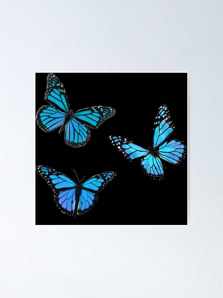 "Blue Butterflies " Poster by aestheticjas | Redbubble